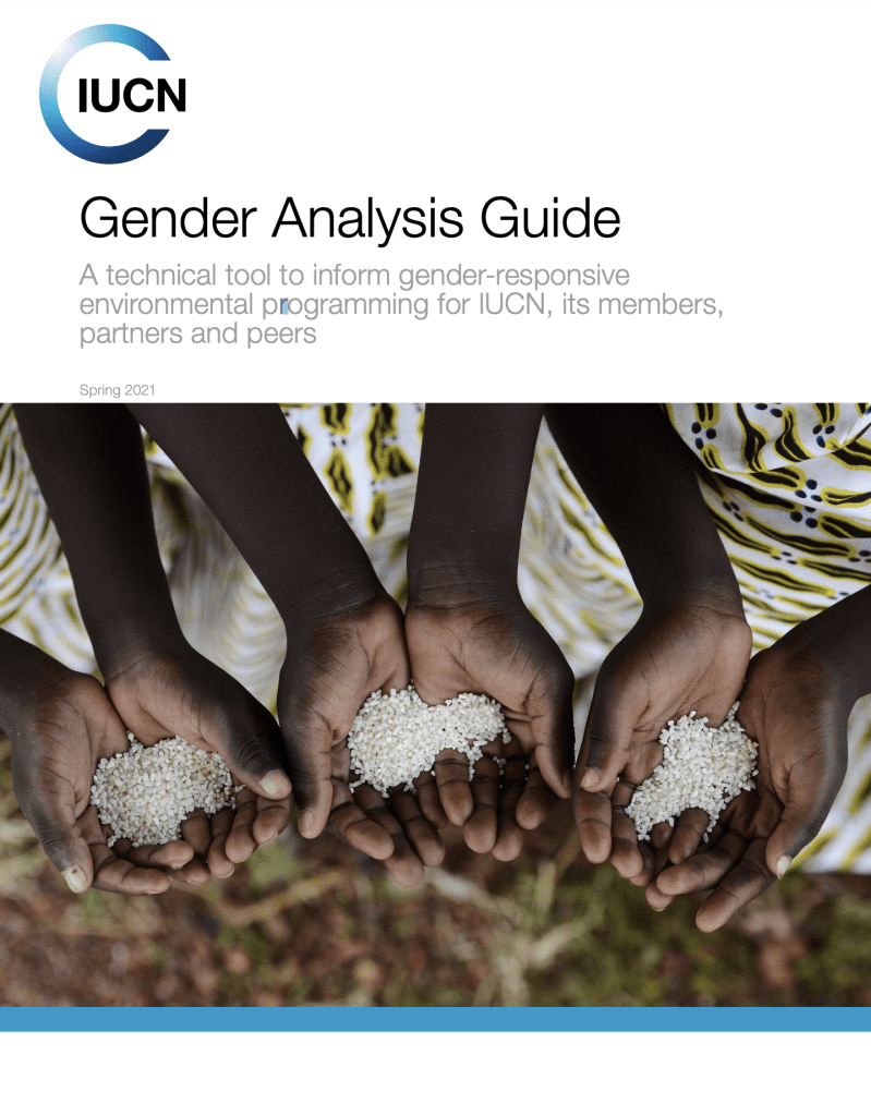 Gender Analysis Guide: A technical tool to inform gender-responsive ...